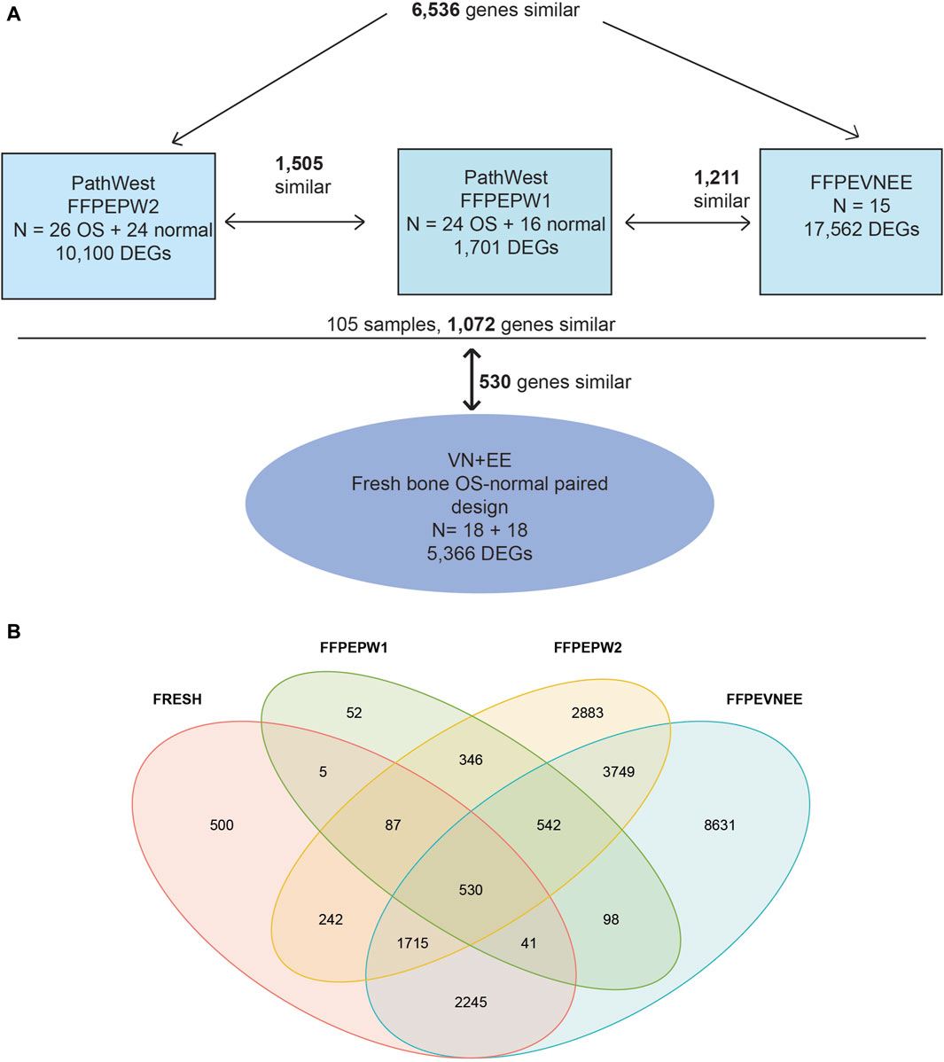 SEBM | The whole transcriptome analysis using FFPE and fresh tissue ...